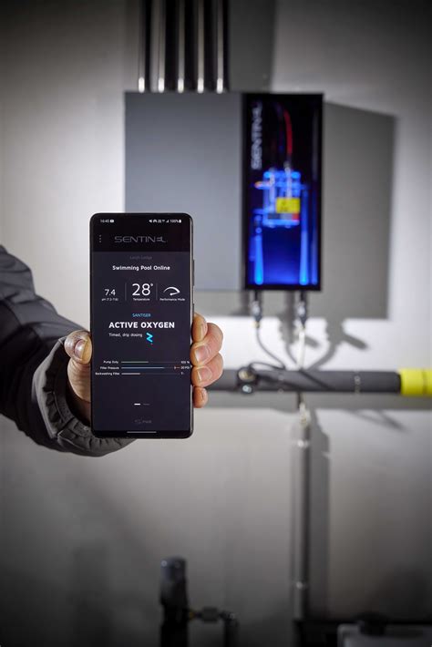 Overview Swimming Pool Maintenance For Just A Month Including Chemicals