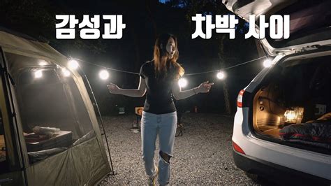 솔로캠핑 개방감 시원한 새 텐트를 소개해드릴게요 이것은 오토캠핑인가 차박인가 시원한 숲 속 그리고 로즈마리 스테이크