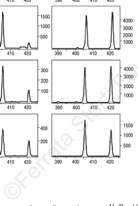 Polymerase Chain Reaction Based Chimerism Analysis Of Dna Isolated From Download Scientific