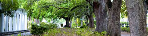 Forsyth Park Fragrant Garden Savannah