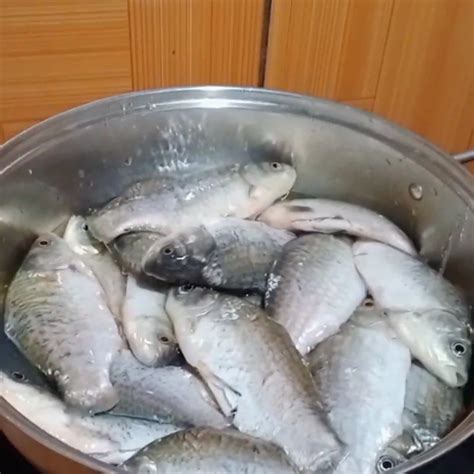 2 cách làm canh cá diếc nấu ngải cứu và nấu rau răm thơm ngon bổ dưỡng