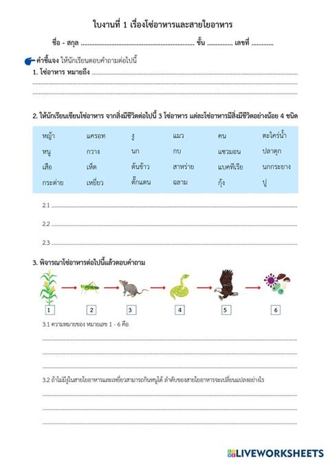 ใบงานที่ 1 โซ่อาหารและสายใยอาหาร Worksheet Map Save Map Screenshot