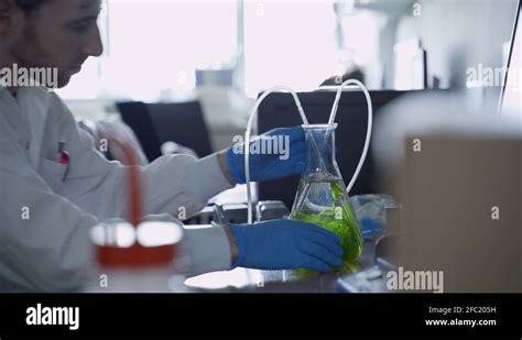 Bubbling Flask Stock Videos Footage HD And 4K Video Clips Alamy