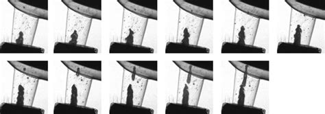 Initiation Of String Cavitation Download Scientific Diagram