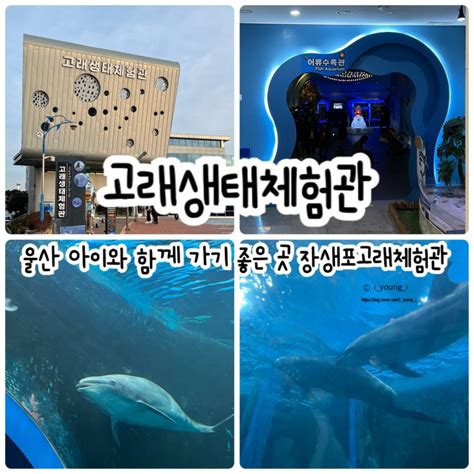 울산 아이와 함께 가기 좋은 곳 장생포고래생태체험관 네이버 블로그