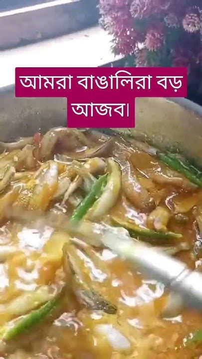 আমরা বাঙালিরা বড় আজব। Shorts Youtubeshorts Youtube Cookingshorts
