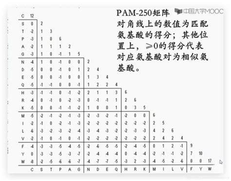山大生信02序列比较p1bleuebaleine的博客 Csdn博客