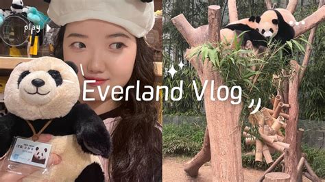 행복했던 에버랜드 Vlog 🎡🐼 판다월드 로스트밸리 사파리월드 뉴헤어🫢 아주아주 짧았던 나의 방학 Youtube