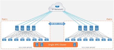 Cisco Aci Deployment Options Available Bestpath