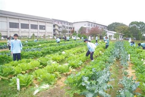 京都府立木津高等学校 木津高さんぽ