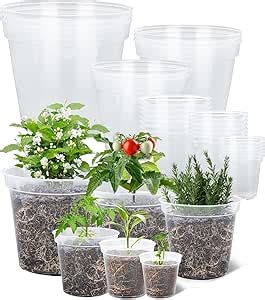 Amazon GREANER Inch Reinforced Clear Nursery Pots Transparent Variety Pack