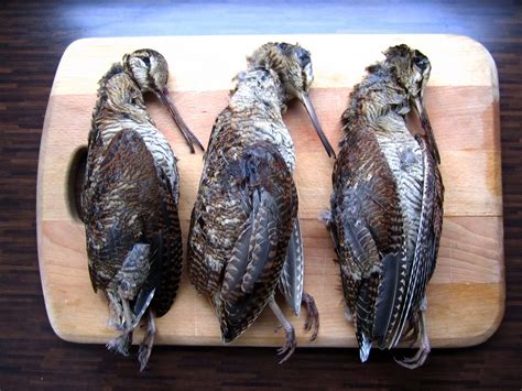 Roast Woodcock On Toast The Grazer