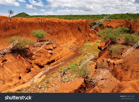Effects Of Soil Erosion On Biodiversity Greentumble 43 Off