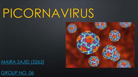 Solution Picornavirus Name Classification Causes Picornavirus