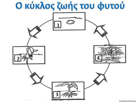 Δραστηριότητες παιδαγωγικό και εποπτικό υλικό για το Νηπιαγωγείο And το