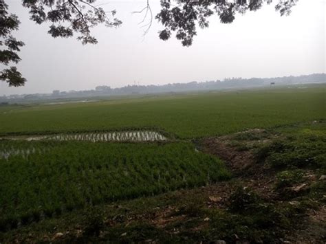 Ruposhi Bangla Park Savar