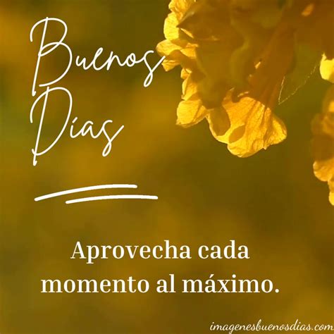 Imagenes De Buenos Dias Para Whatsapp 14 Imágenes Buenos Días