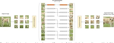 Figure From Local Global Self Supervised Visual Representation
