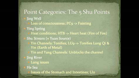 Acupuncture The Jing Wells Function Youtube