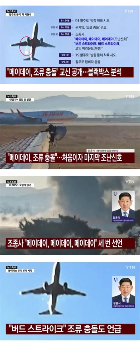메이데이 조류 충돌 교신 내용 공개블랙박스 합동 조사 착수 오리광장 뉴덕