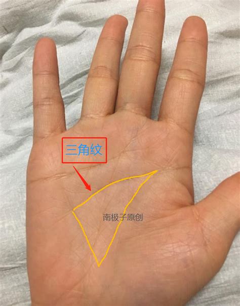 三线合一手相 怎么看手相 手相 大山谷图库