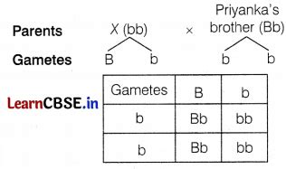 CBSE Sample Papers For Class Science Set With Solutions Learn CBSE