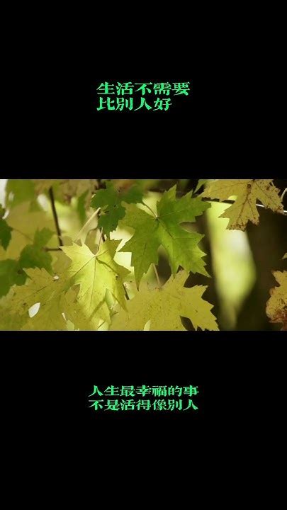 生活不需要比别人好 Youtube