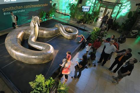 All About Titanoboa A Foot Pound Snake