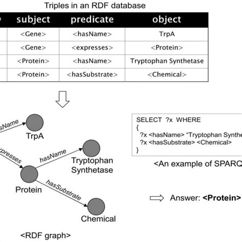 Rdf Database A Sparql Query 26 Download Scientific Diagram
