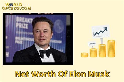 Elon Musk Net Worth Insights And Latest Figures Worldofceos