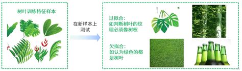 【大厂ai课学习笔记no60】（13）模型泛化性的评价人工智能算法的泛化性如何测试 Csdn博客