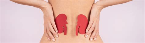 Enfermedad Renal Crónica Consejos Para Prevenirla Y Tratarla A Tiempo