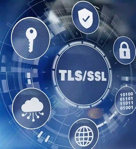 Security Features In SAP HANA Ensuring Data Integrity Privacy