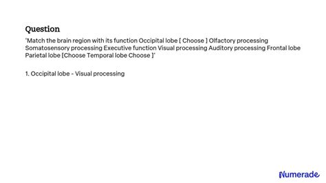 Solved Match The Brain Region With Its Function Occipital Lobe