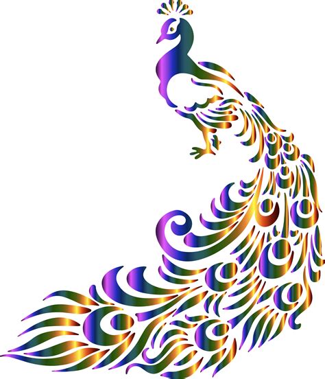 Colorful Peacock By Gdj A Colorful Variation Of The Peacock On