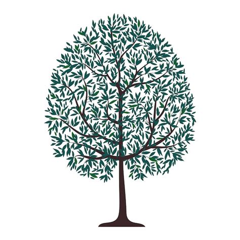 Premium Vector Tree With Green Leaf Abstract Vector Illustration