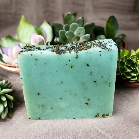 Artisan Bar Soap Ladybug Suds N Scrubs