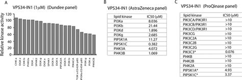 Vps34 In1 Selectively Inhibit Class Iii Pi3k A Lipid Kinase Profiling Download Scientific