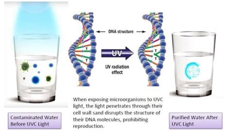 Overall Introduction Of Uvc Radiation Pixel Led Blog Shenzhen
