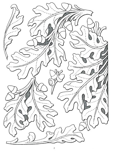 Celtic Oak Tree Branch Drawing