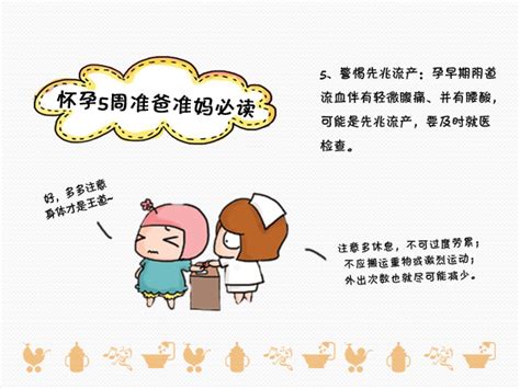 【大图】怀孕5周准爸妈指南幸福妈咪太平洋亲子网