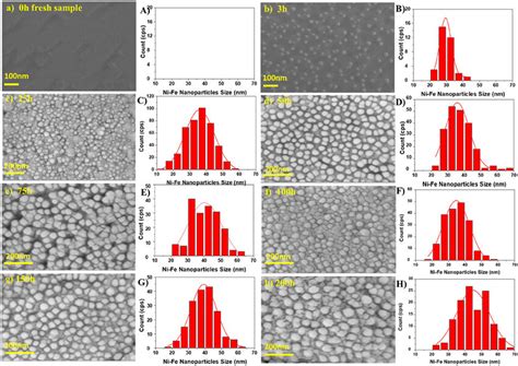 A H Sem Images Of The Surface Of In Situ Exsolved Ni Fe