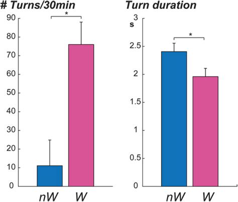 Detection Of Wandering Behaviors Using A Body Worn Inertial Sensor In Patients With Cognitive