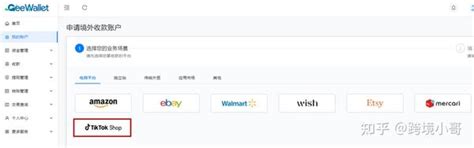 Geewallet跨境支付百科：vcc卡（虚拟信用卡）业务介绍 知乎