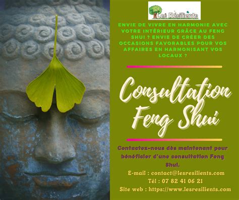 Consultation Feng Shui Les Résilients
