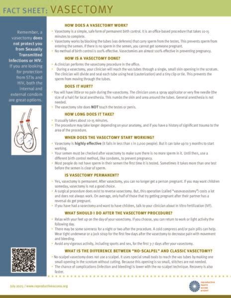 Vasectomy Your Guide To Scheduling