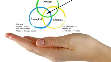 Soil Pollution Control Soil Pollution Through Farming Methods