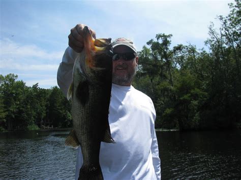 Backwateradventures Outer Banks Bass Fishing