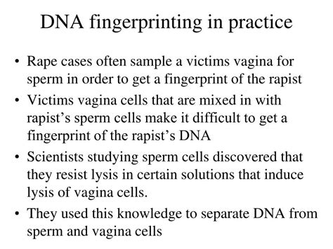 PPT Chapter 13 DNA Fingerprinting And Forensic Analysis PowerPoint Presentation ID 1602612