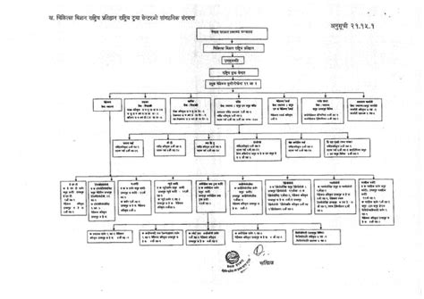 Organogram Of Ministry Of Health And Population